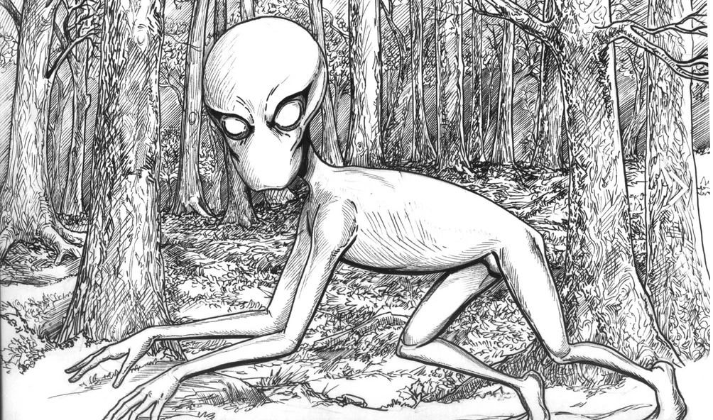 10 Cryptids You Should Know About | Shadow Squadron